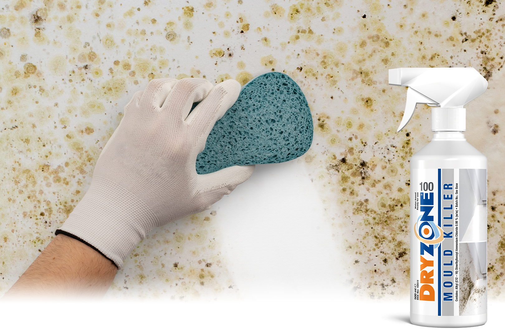 Condensation Eradication Options with Safeguard