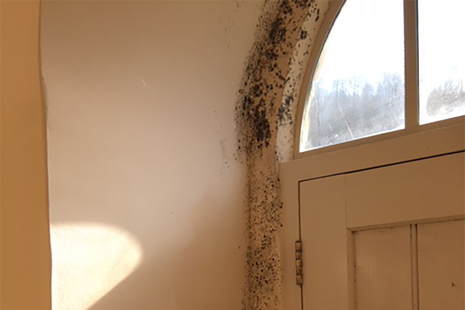 Dryzone, Drybase Flex & Oldroyd Xp cure severe damp problems in ...