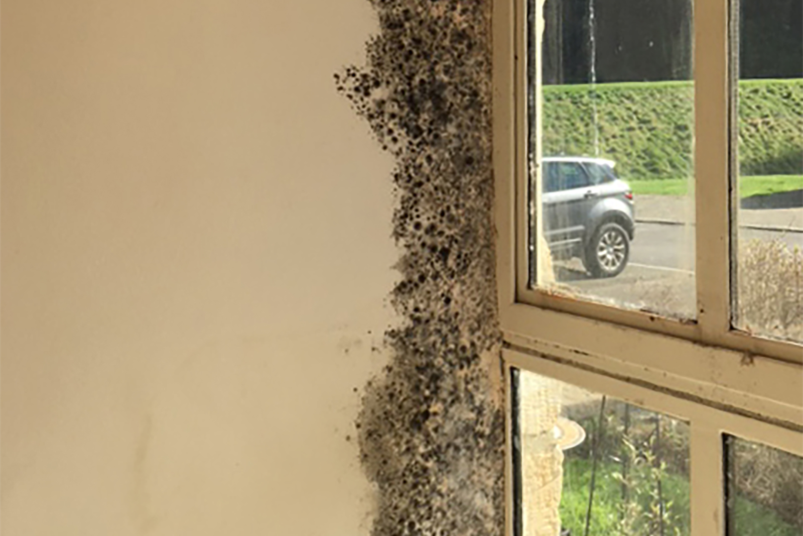 Dryzone, Drybase Flex & Oldroyd Xp cure severe damp problems in ...