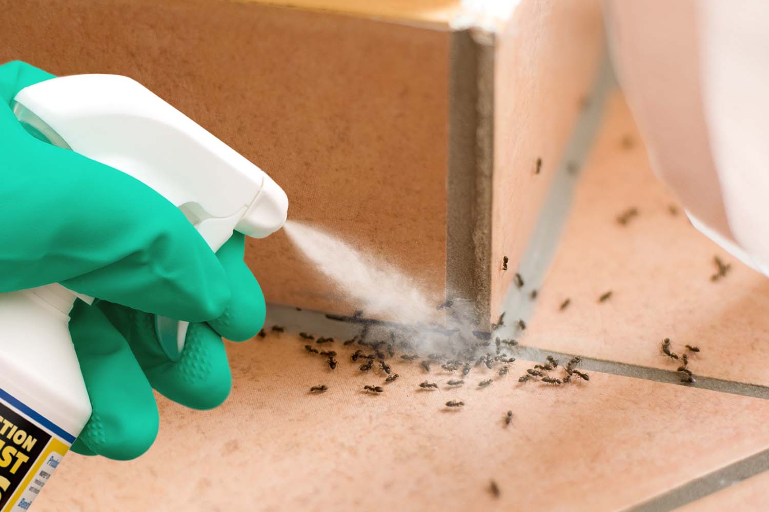 Out Now: NOPE! Pest Control