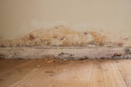 Rising Damp Causes And Treatment